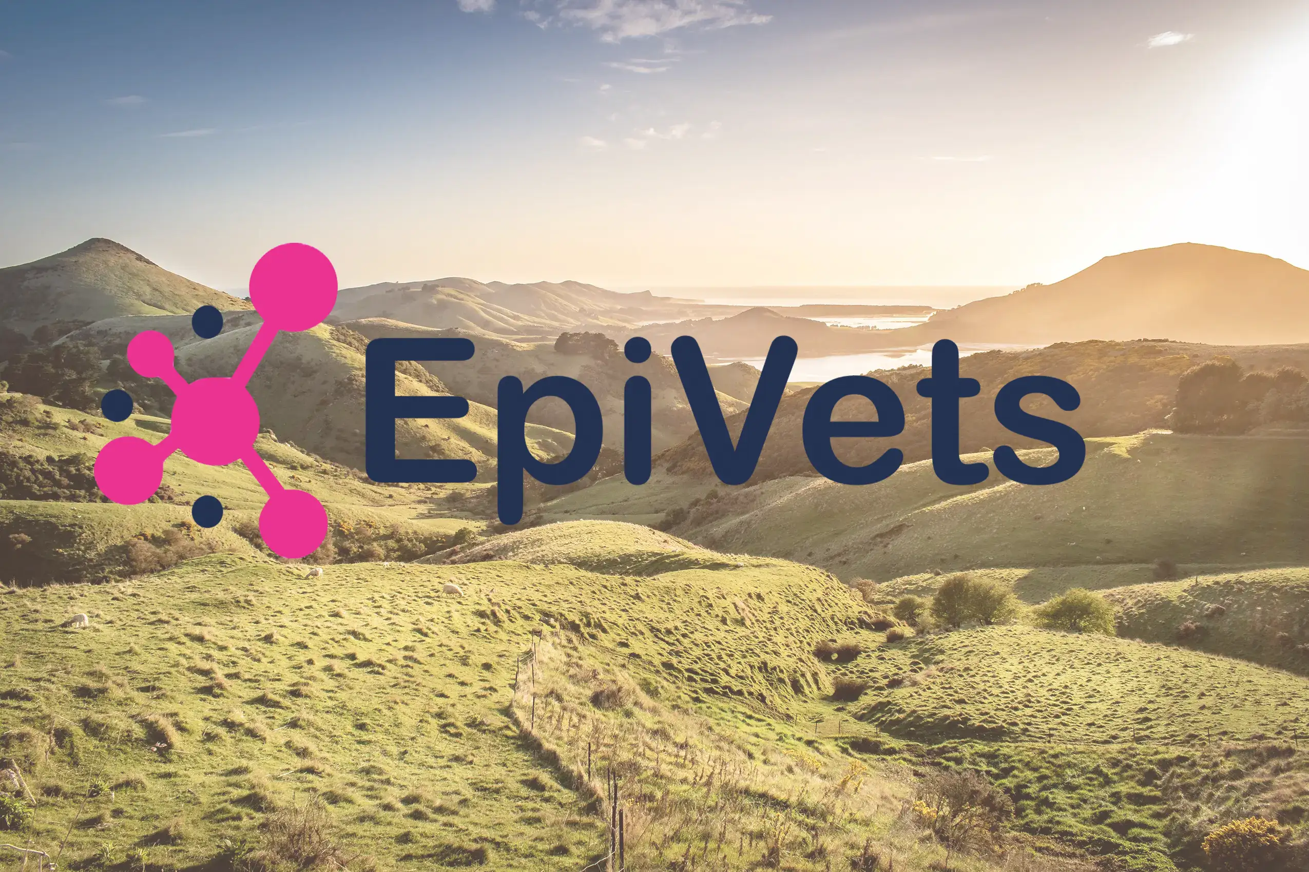 EpiVets – Veterinary Epidemiology & Contract Research Organisation (CRO)
